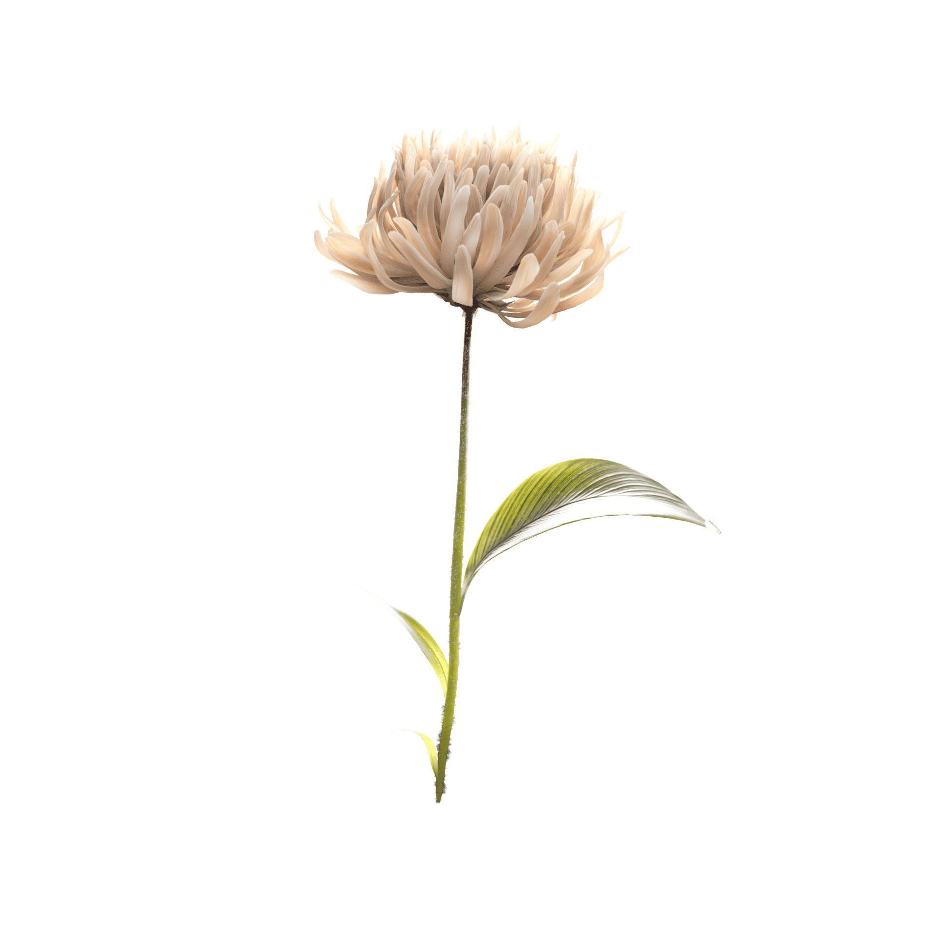 ECI - Endowment for Climate Intelligence: Climate Change AI | ECI