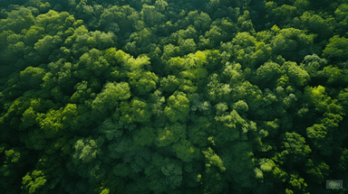 ECI - ClimateGPT: AI for Climate Research | ECI