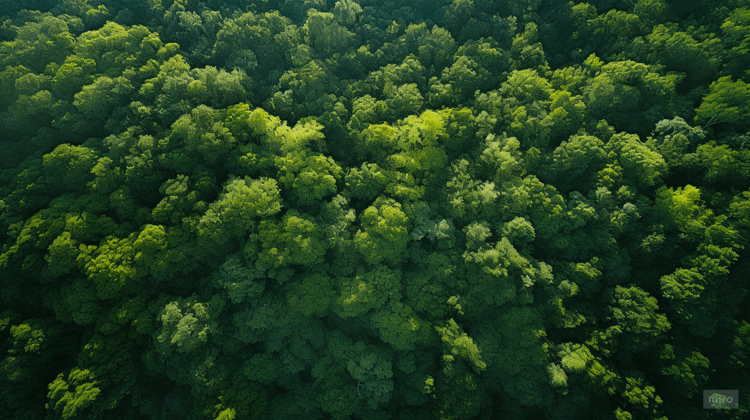 ECI - ClimateGPT: AI for Climate Research | ECI